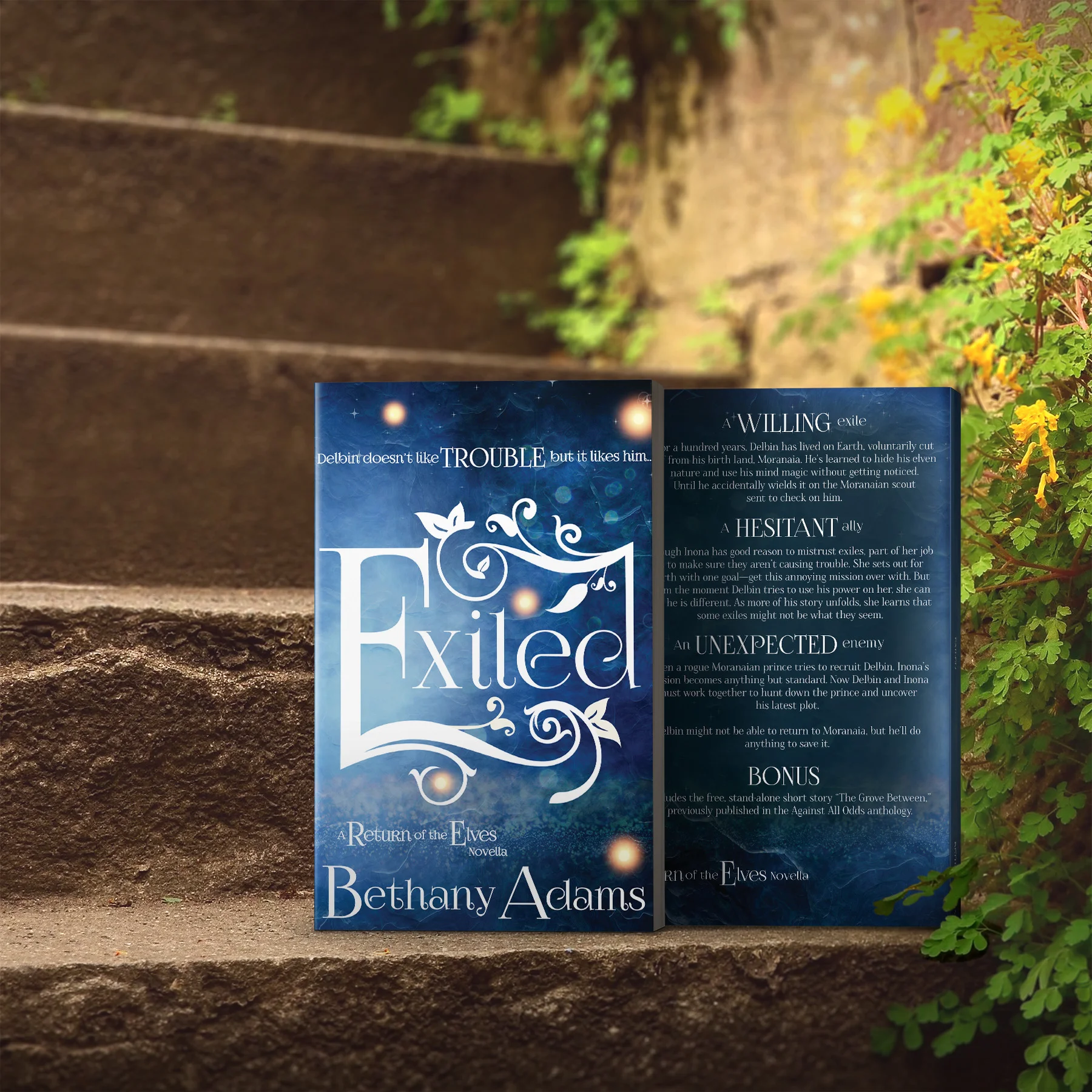 The Return of the Elves Series — Author Bethany Adams