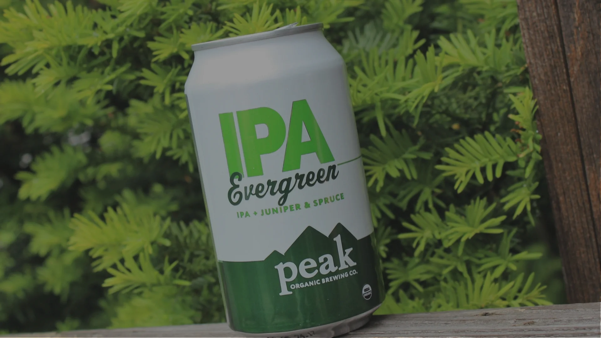 Our Beers — Peak
