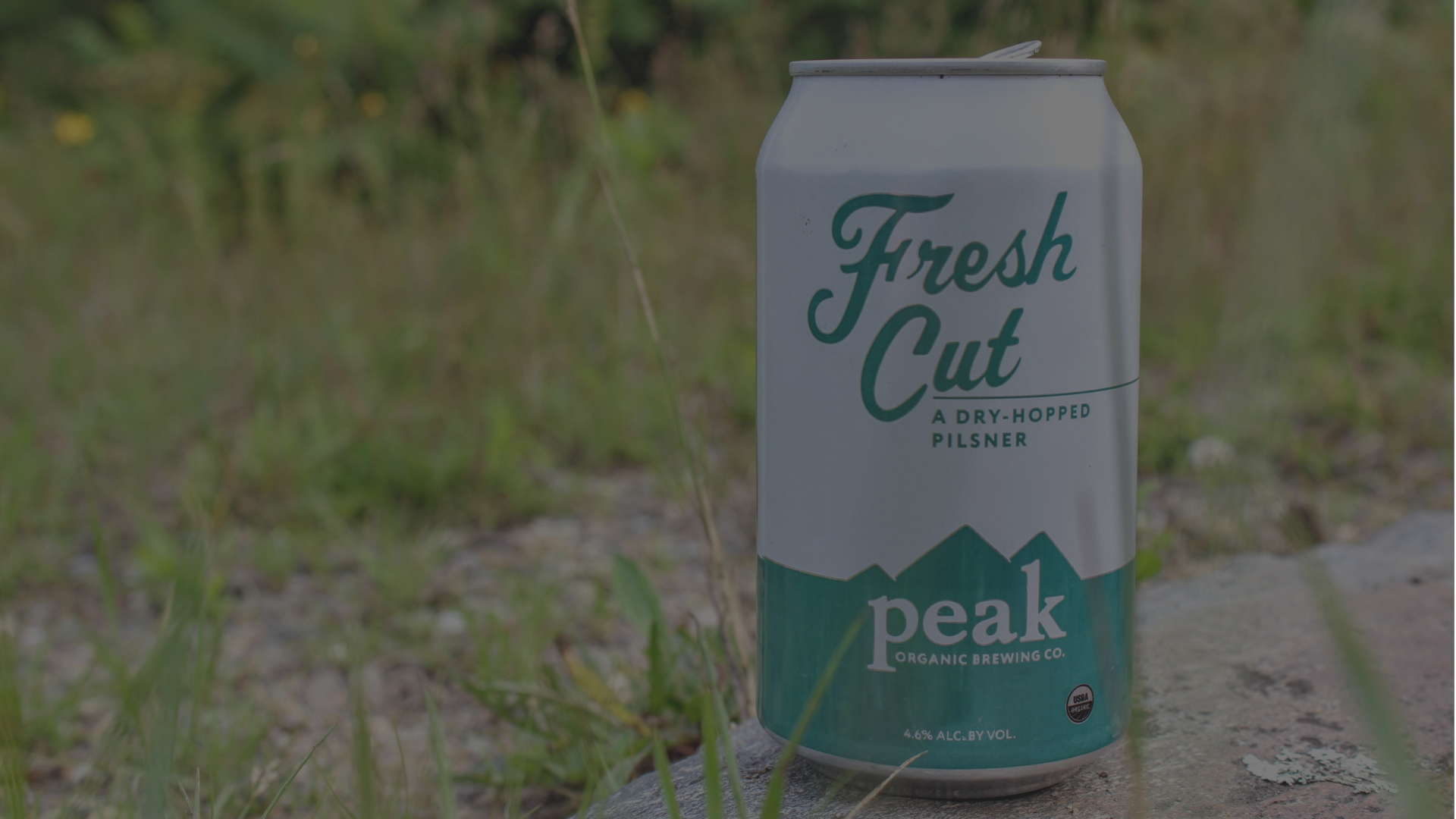Our Beers — Peak