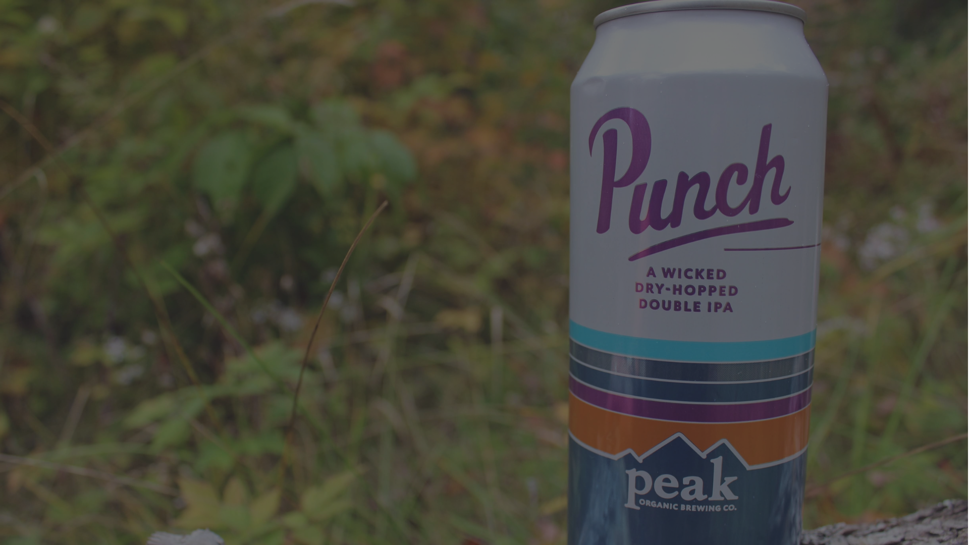 Our Beers — Peak