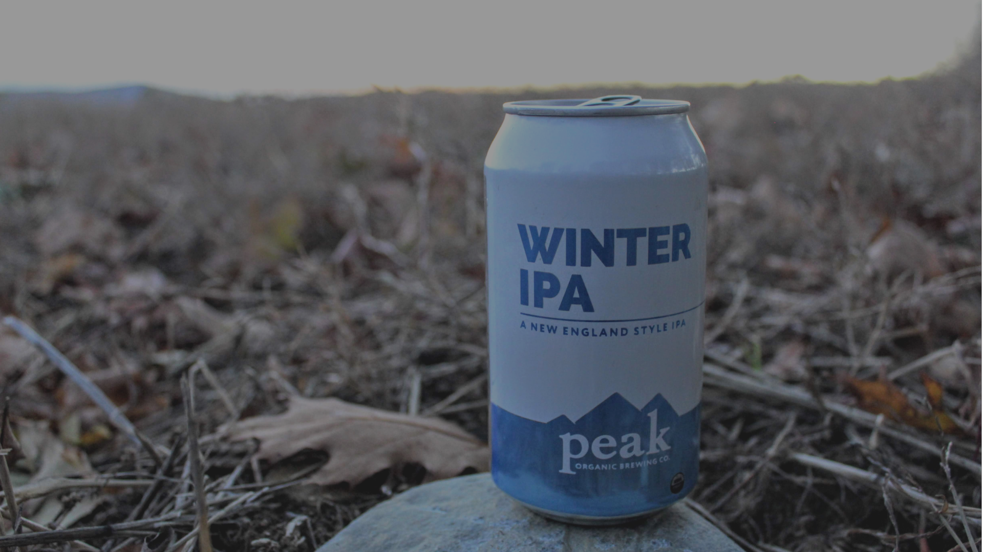 Our Beers — Peak