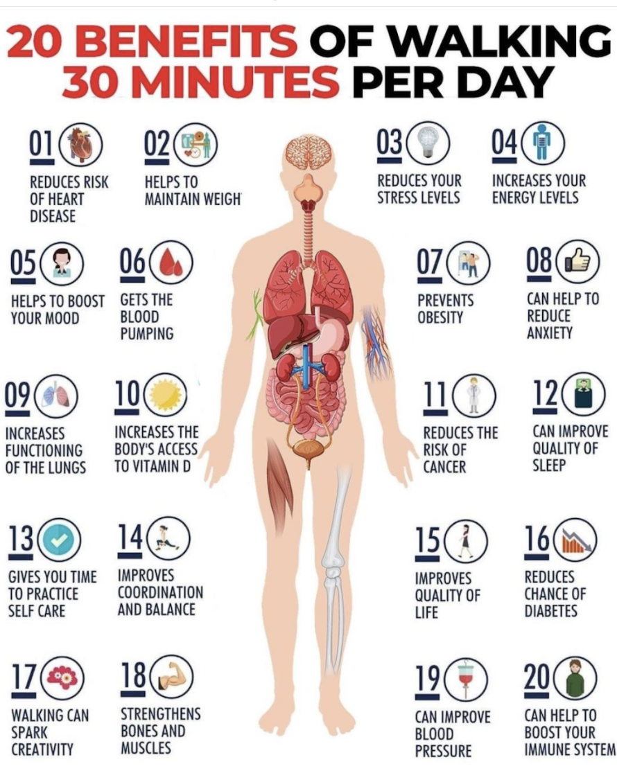 20 Benefits Of Walking For 30 Minutes A Day — Pure Joy Wellness 20 Benefits Of Walking For 30 Minutes A Day — Pure Joy Wellness