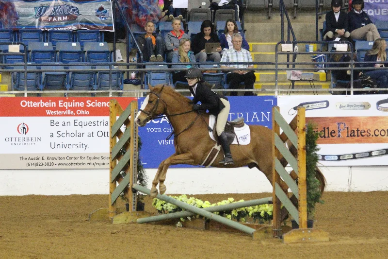 IEA Riding Team — Cranberry Acres Equestrian