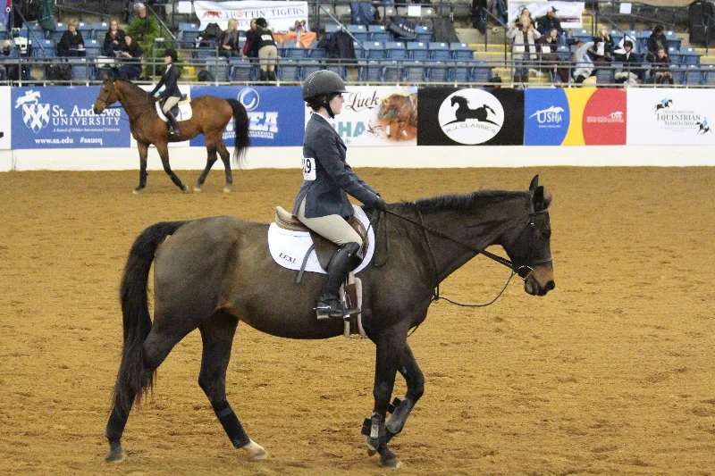 IEA Riding Team — Cranberry Acres Equestrian