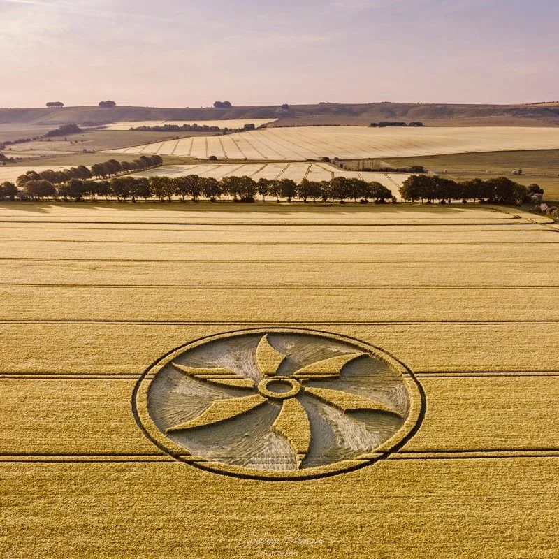 CROPS CIRCLES — L'ASCENSION