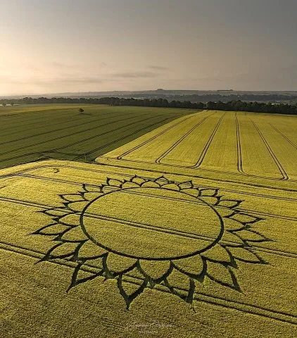 CROPS CIRCLES — L'ASCENSION