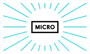 MICRO