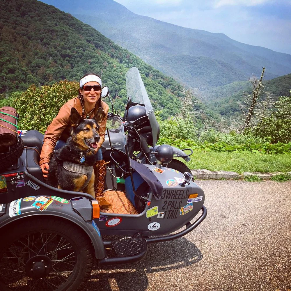 Canine Co-Pilot — Ural Motorcycles