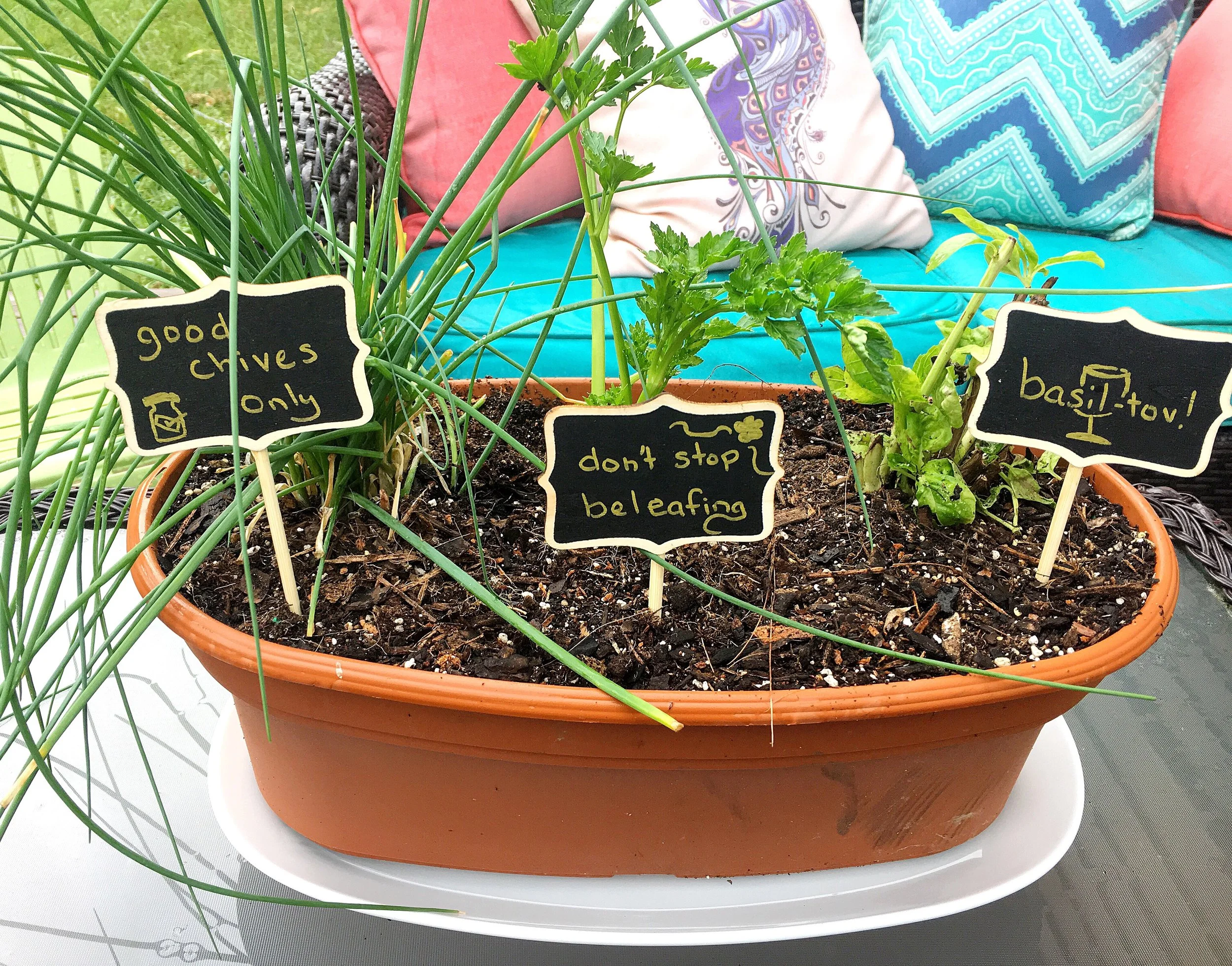 Bringing Herbie Inside — Perennial Genes