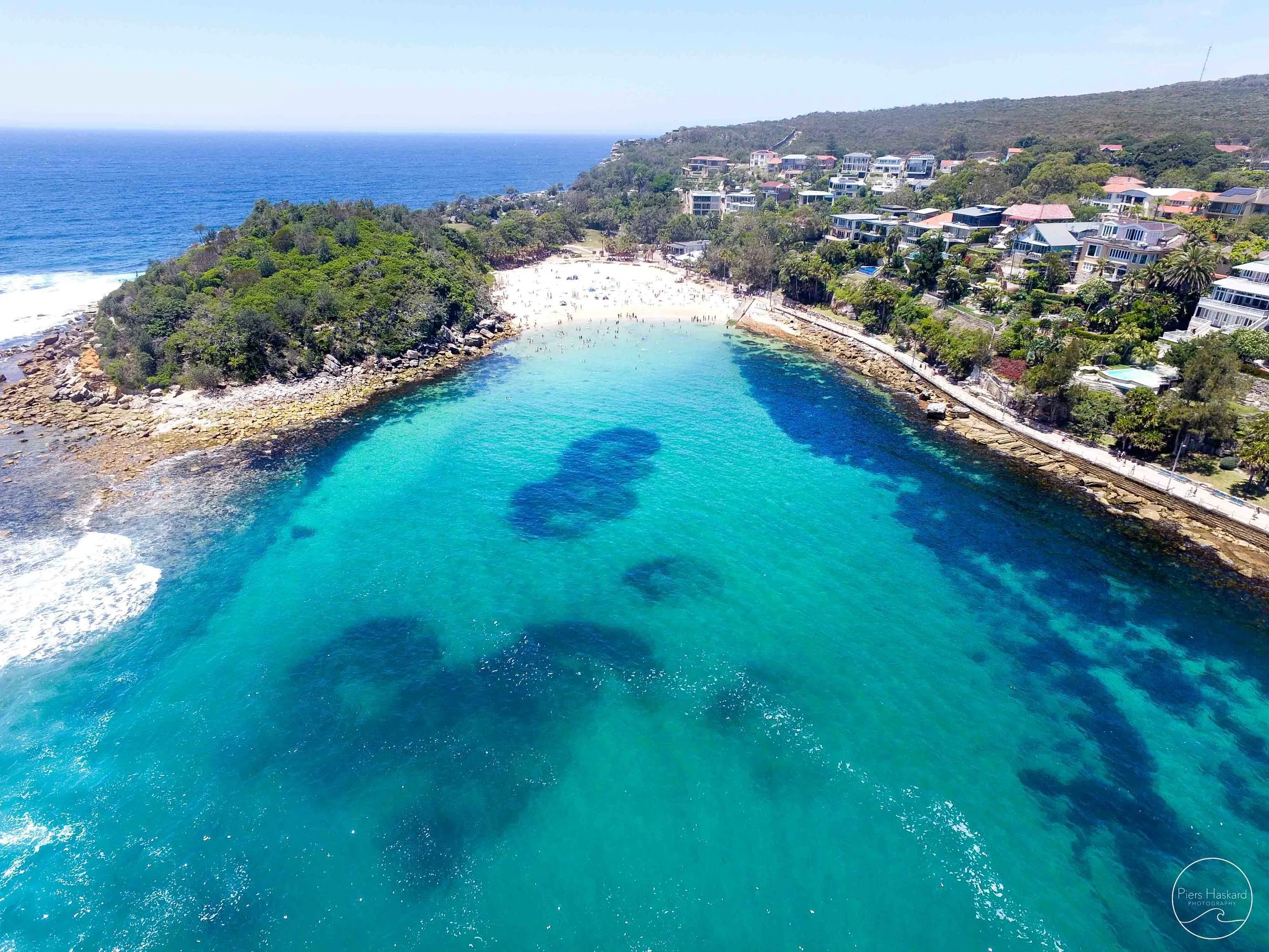 Cabbage Tree Bay — PIERS HASKARD