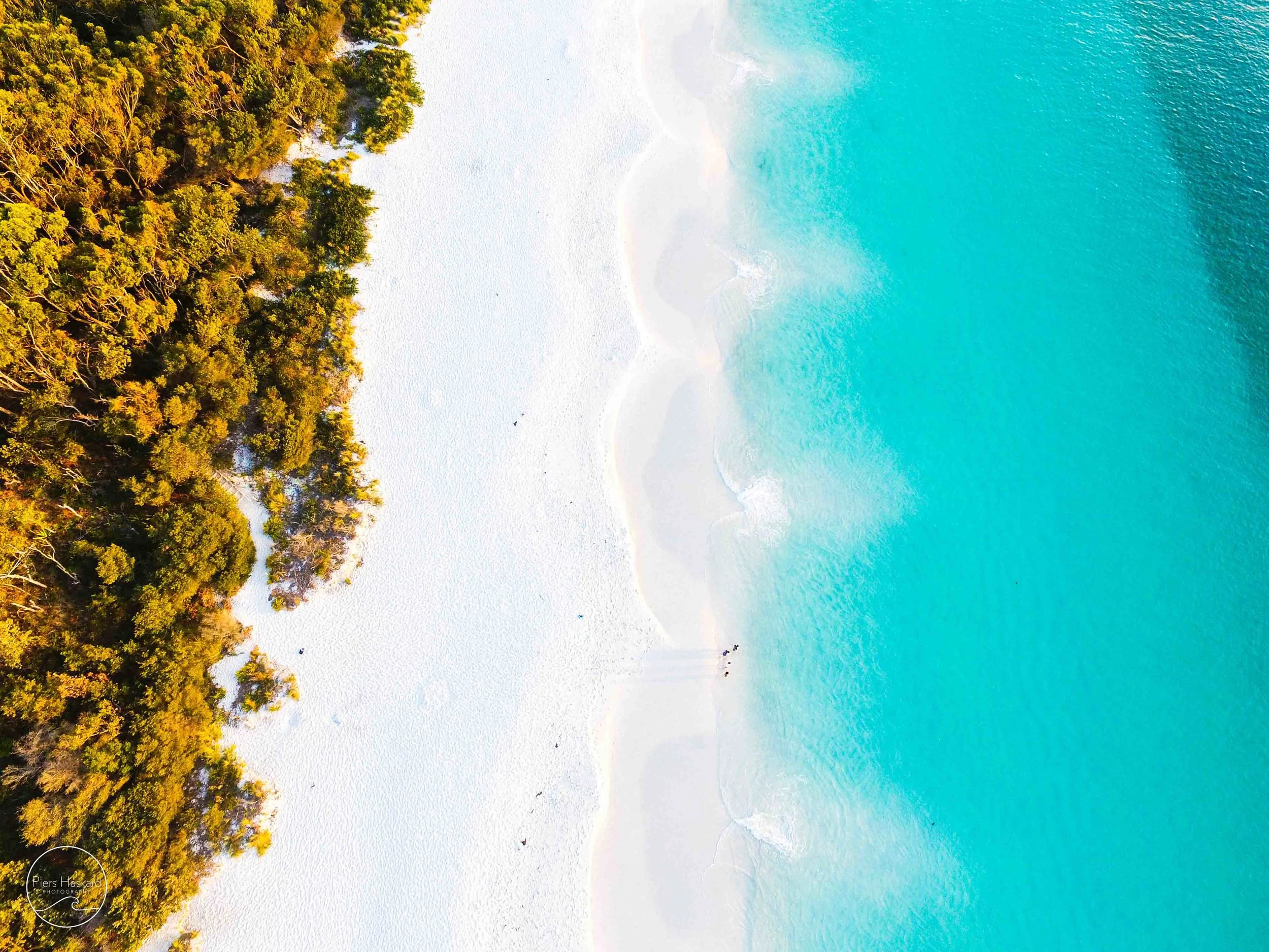 Beach Colours — PIERS HASKARD