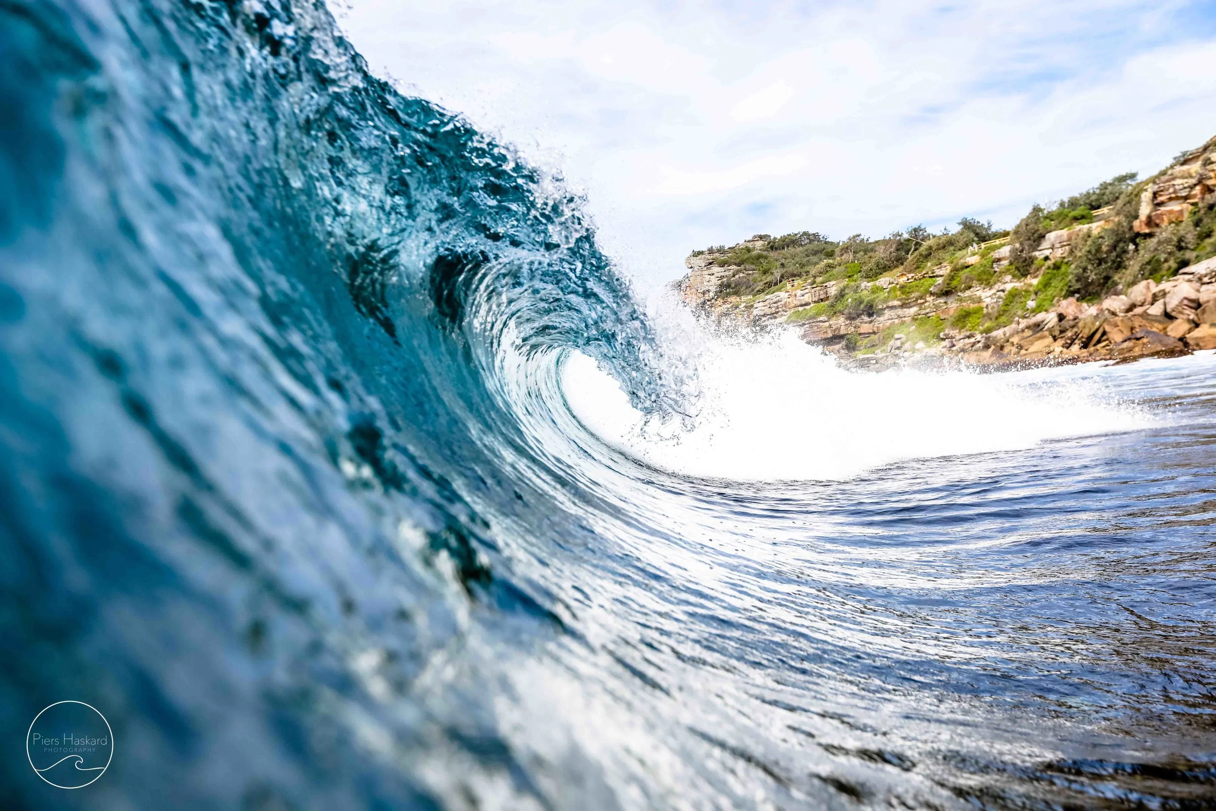 Ocean — PIERS HASKARD