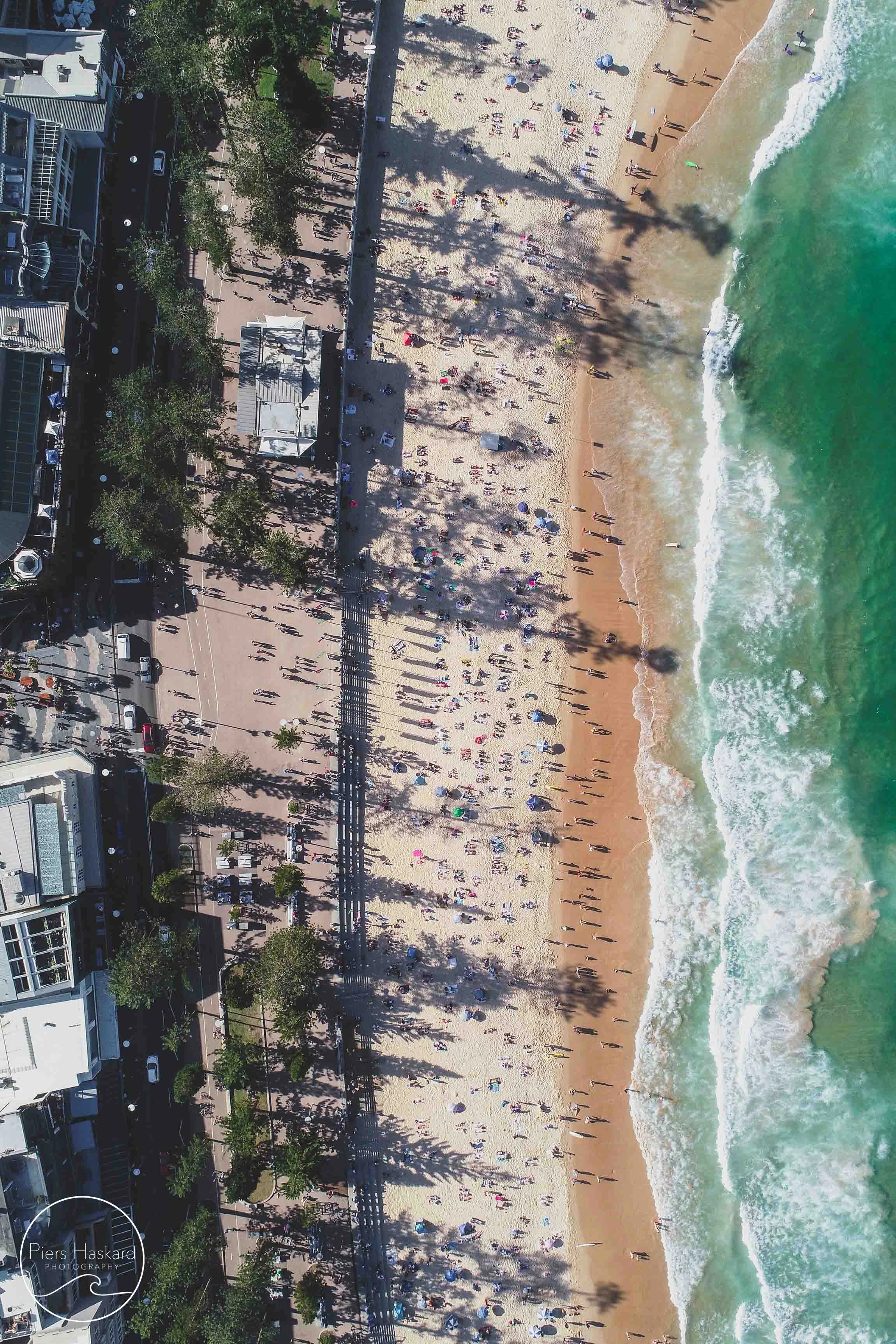 Manly Corso — PIERS HASKARD