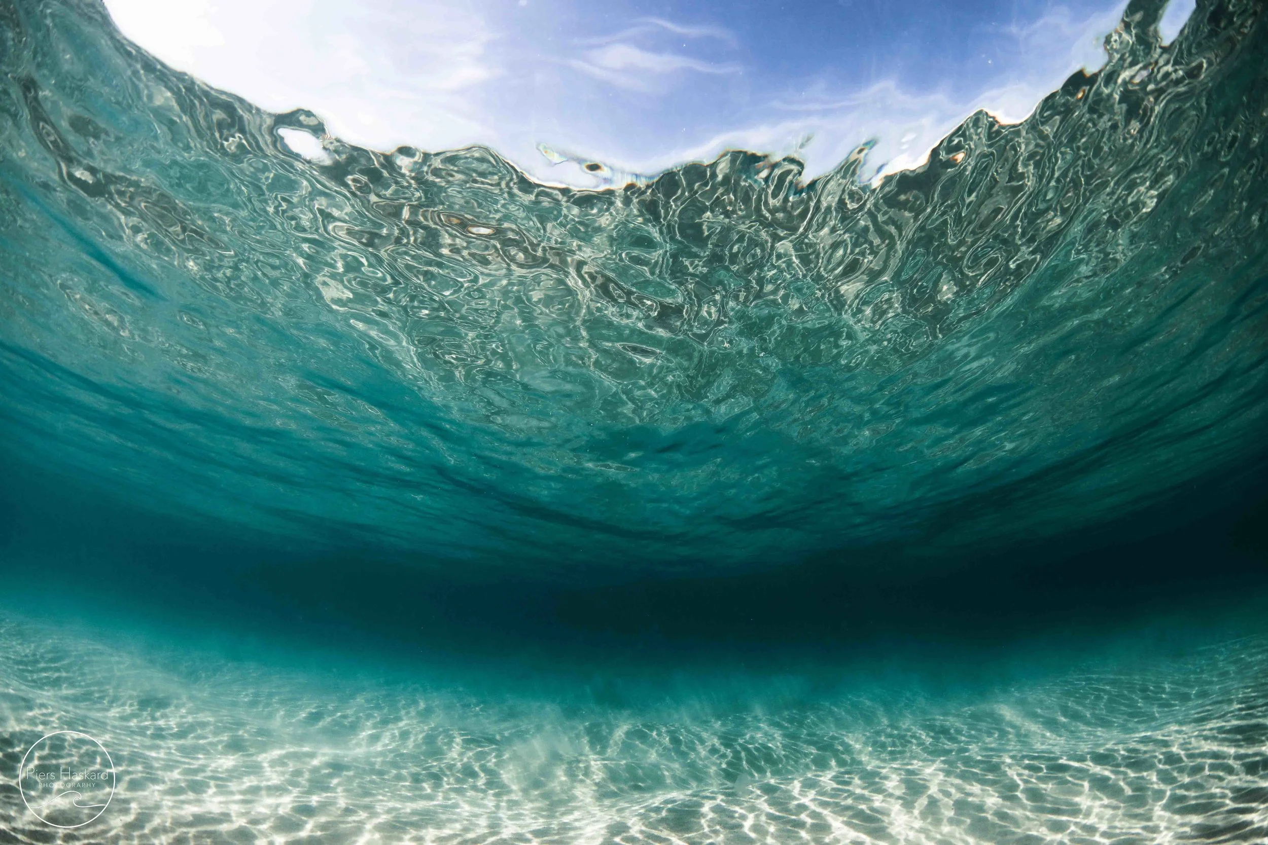 Ocean — PIERS HASKARD