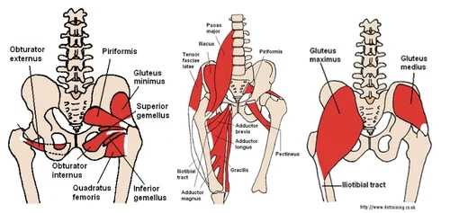 Superior Gemellus Stretch