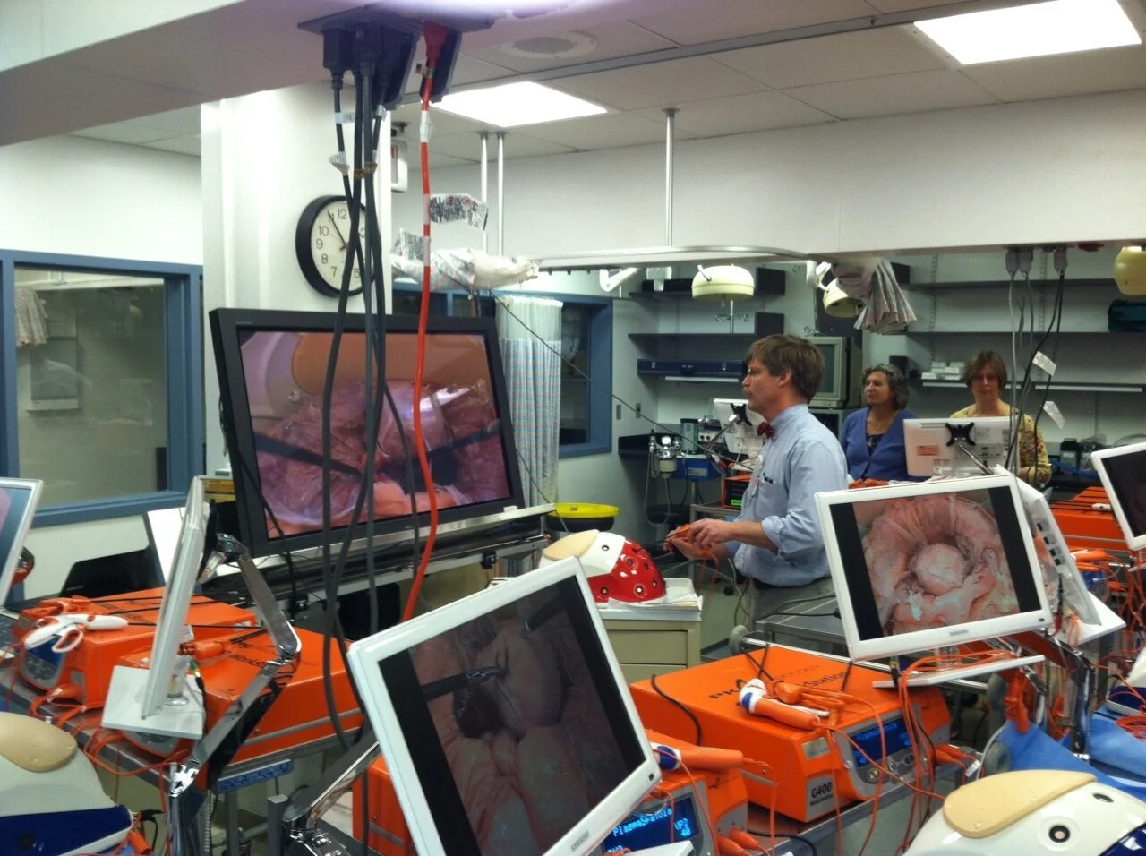 General Curricular and Course Offerings — Gynesim