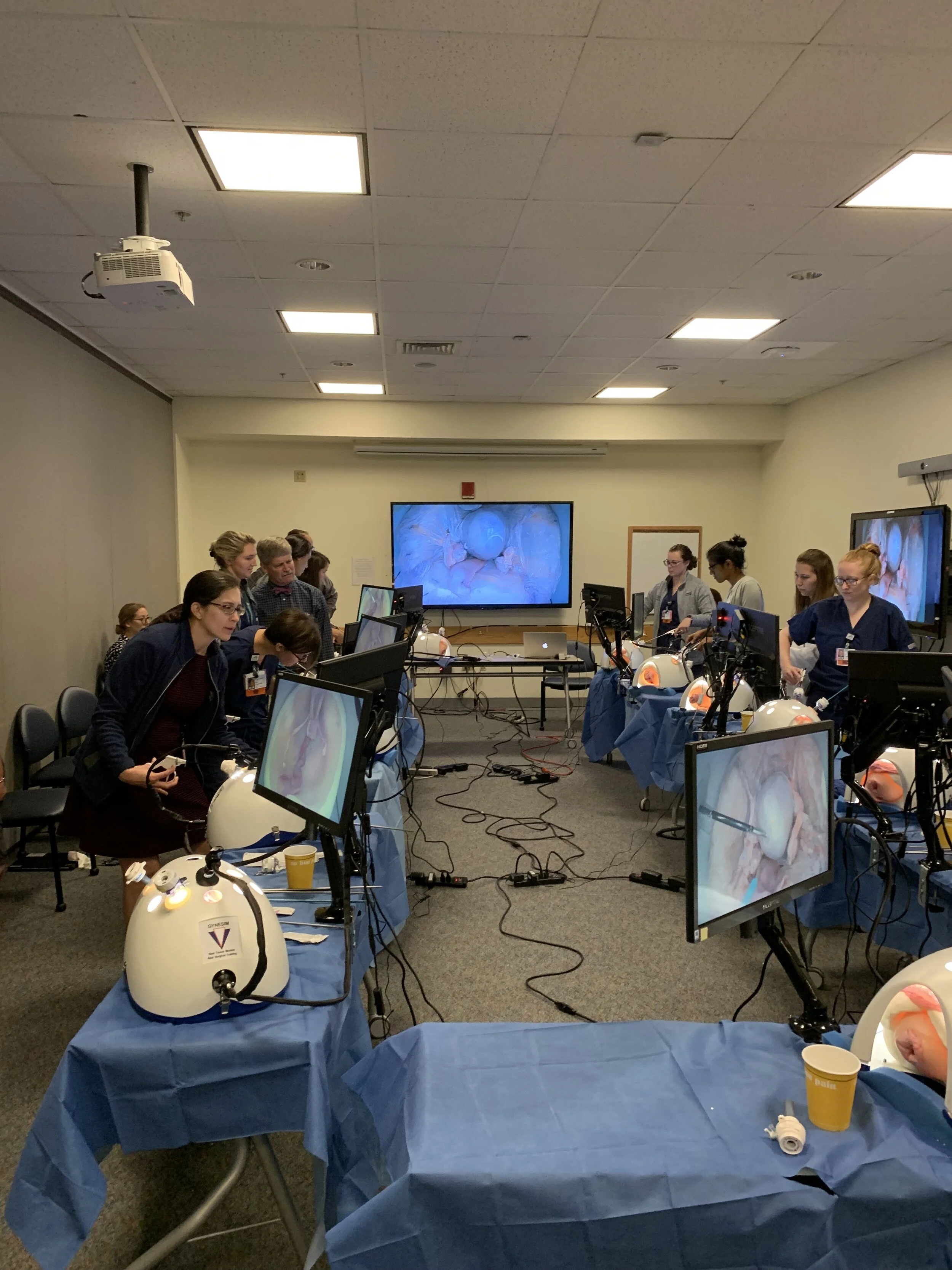 MIS Training Programs — Gynesim