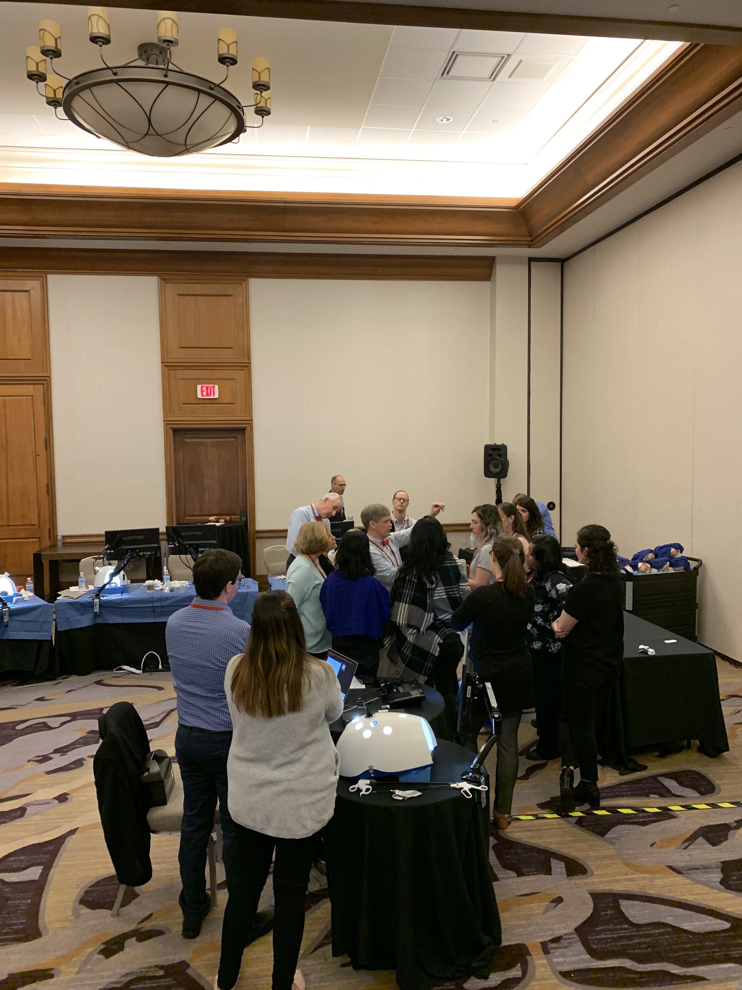 MIS Training Programs — Gynesim