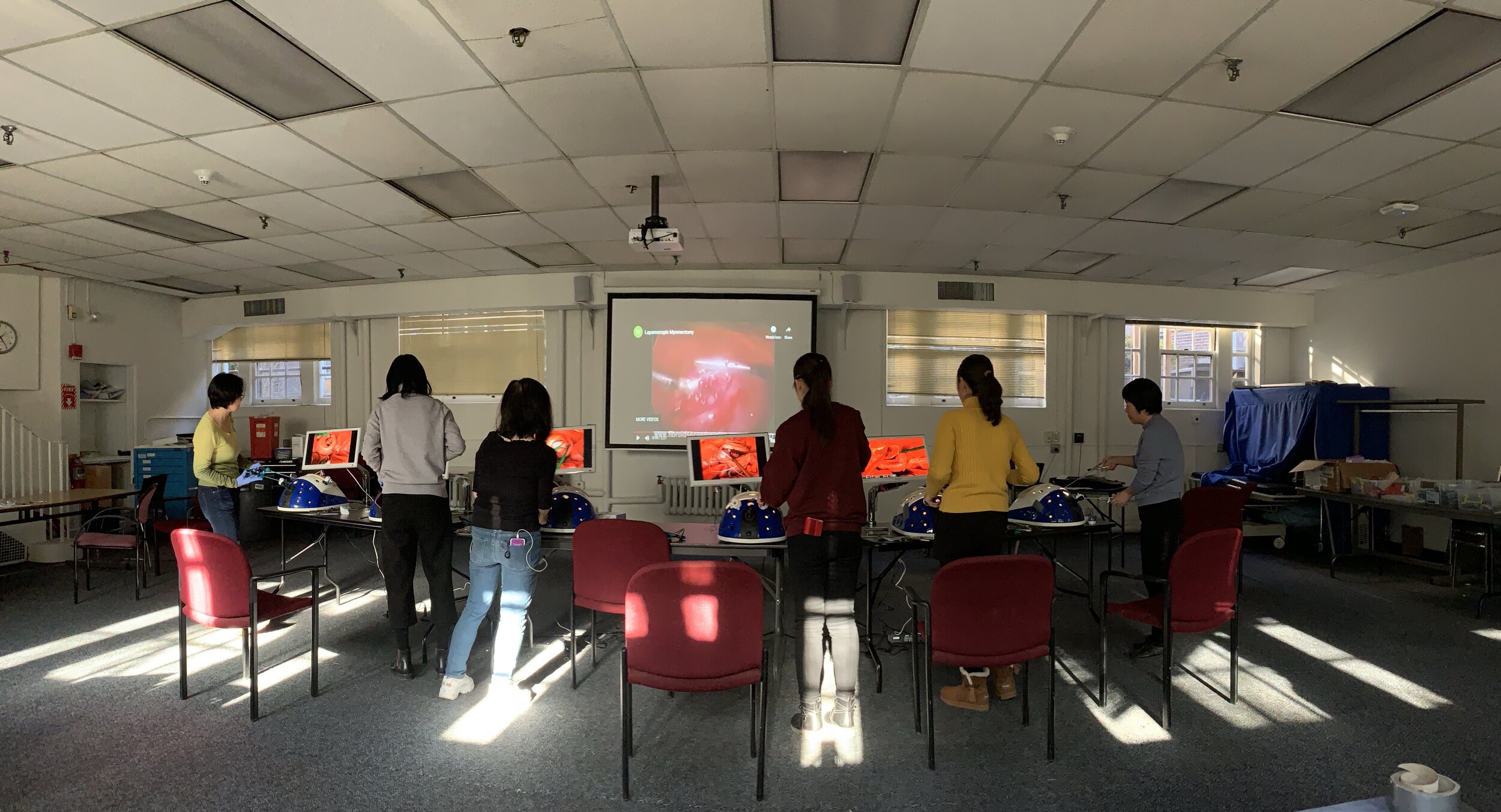 MIS Training Programs — Gynesim