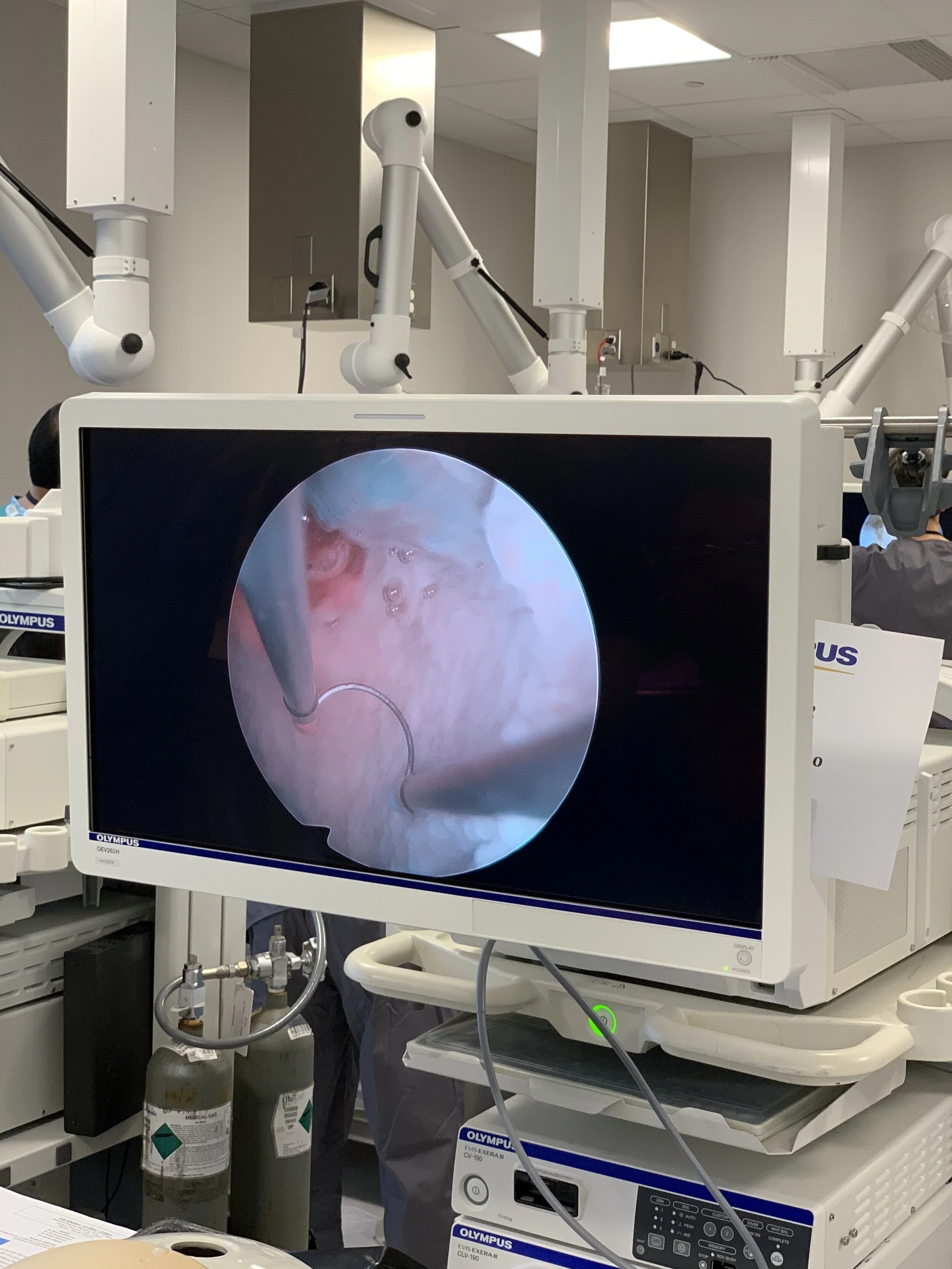 Real Tissue Models — Gynesim