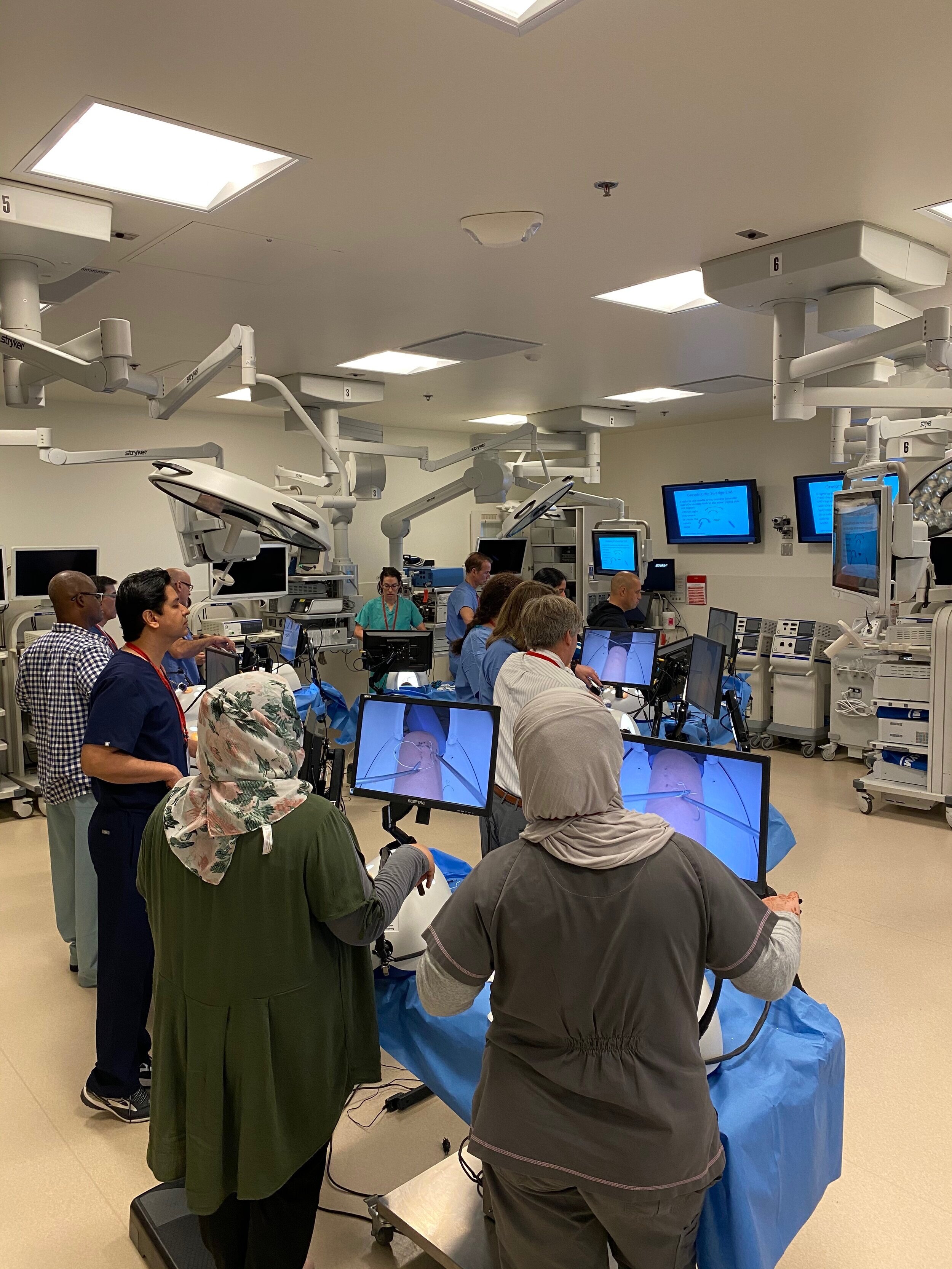 MIS Training Programs — Gynesim