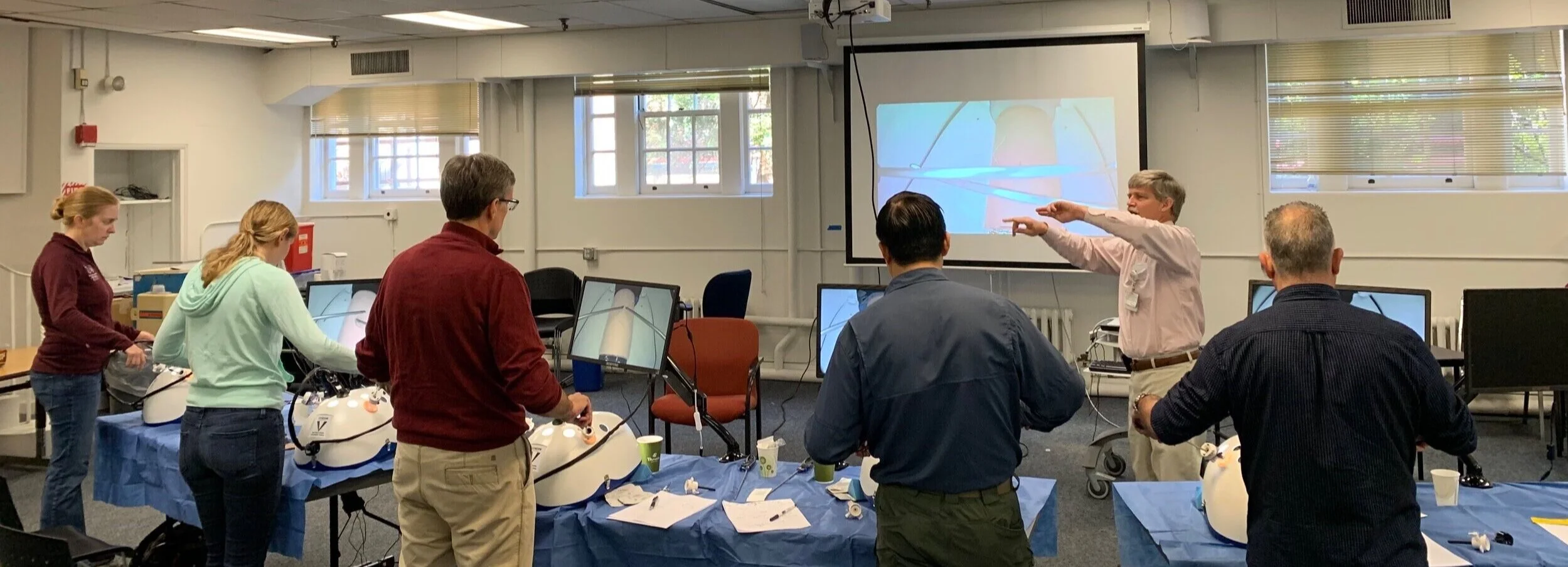 MIS Training Programs — Gynesim