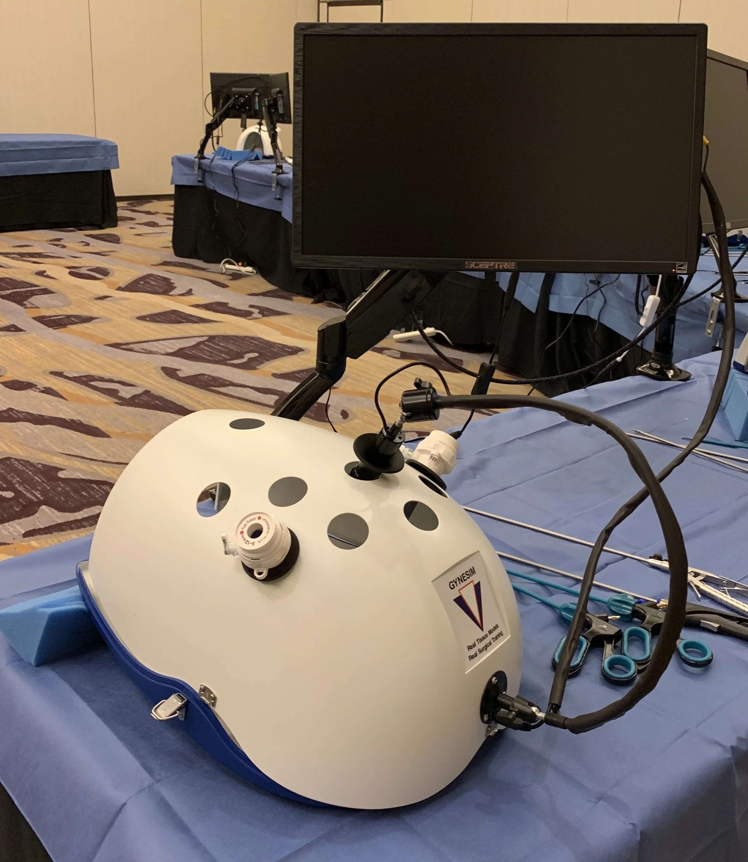 Real Tissue Models — Gynesim