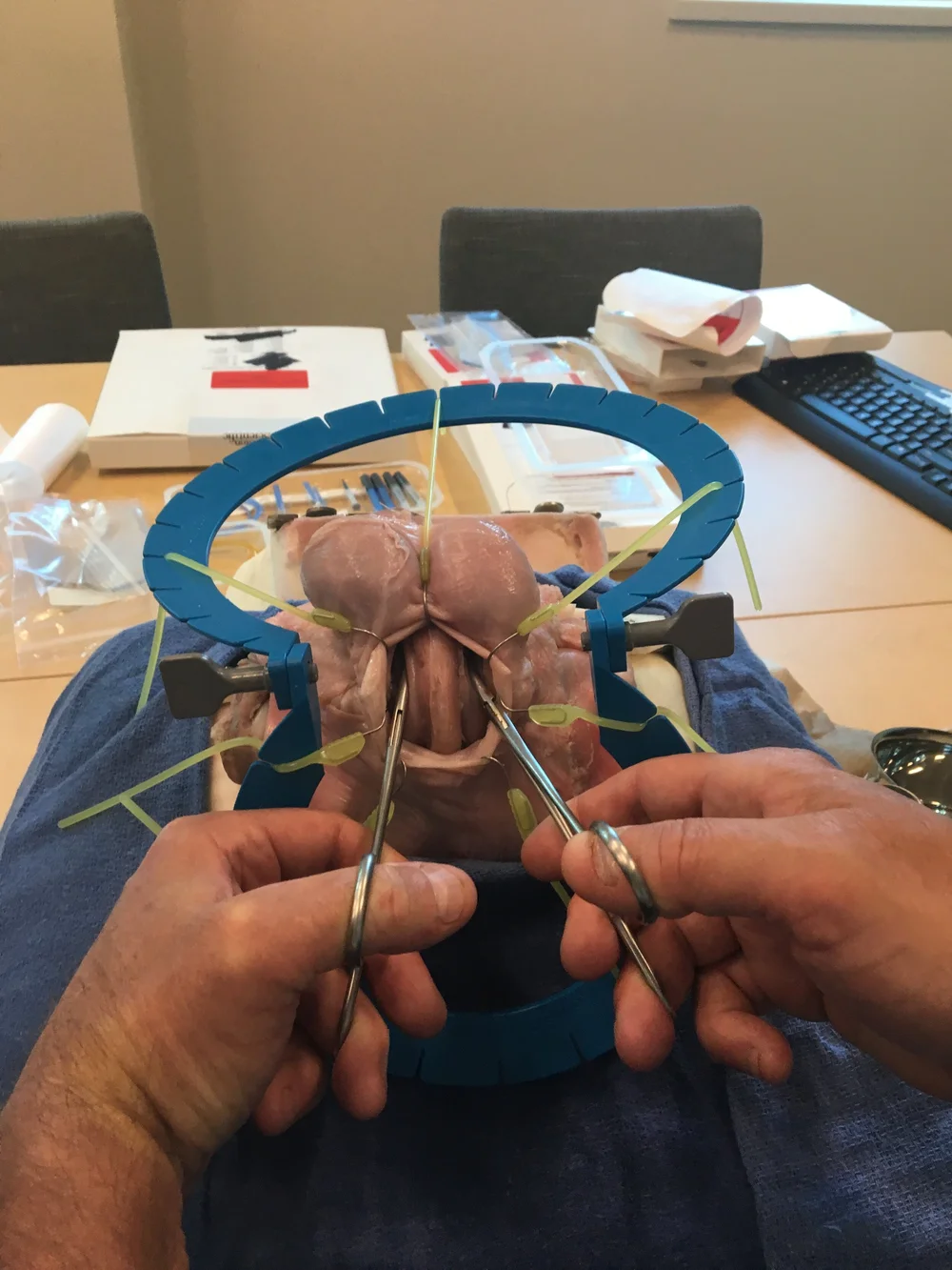 Real Tissue Models™ — Gynesim