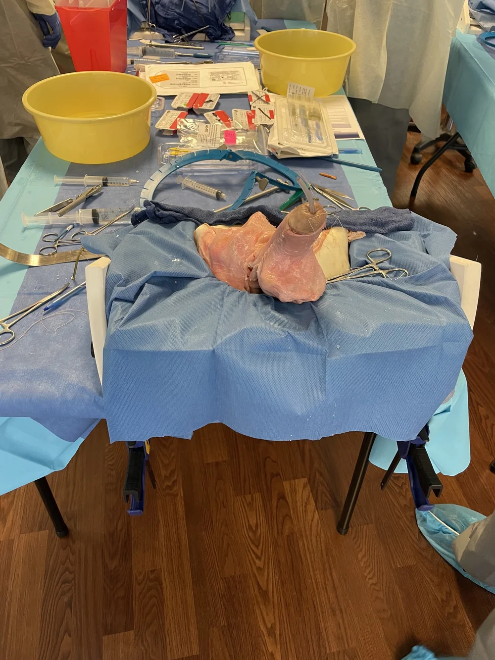 Real Tissue Models™ — Gynesim