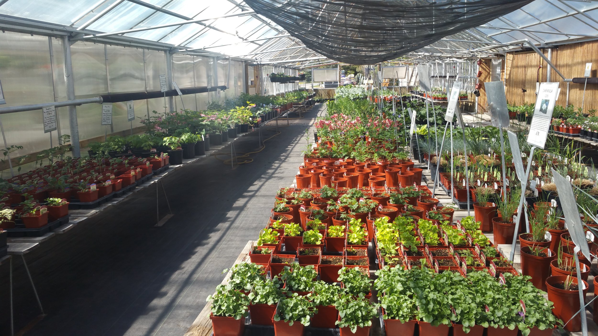 SpringBreak Garden Centre — SBFF