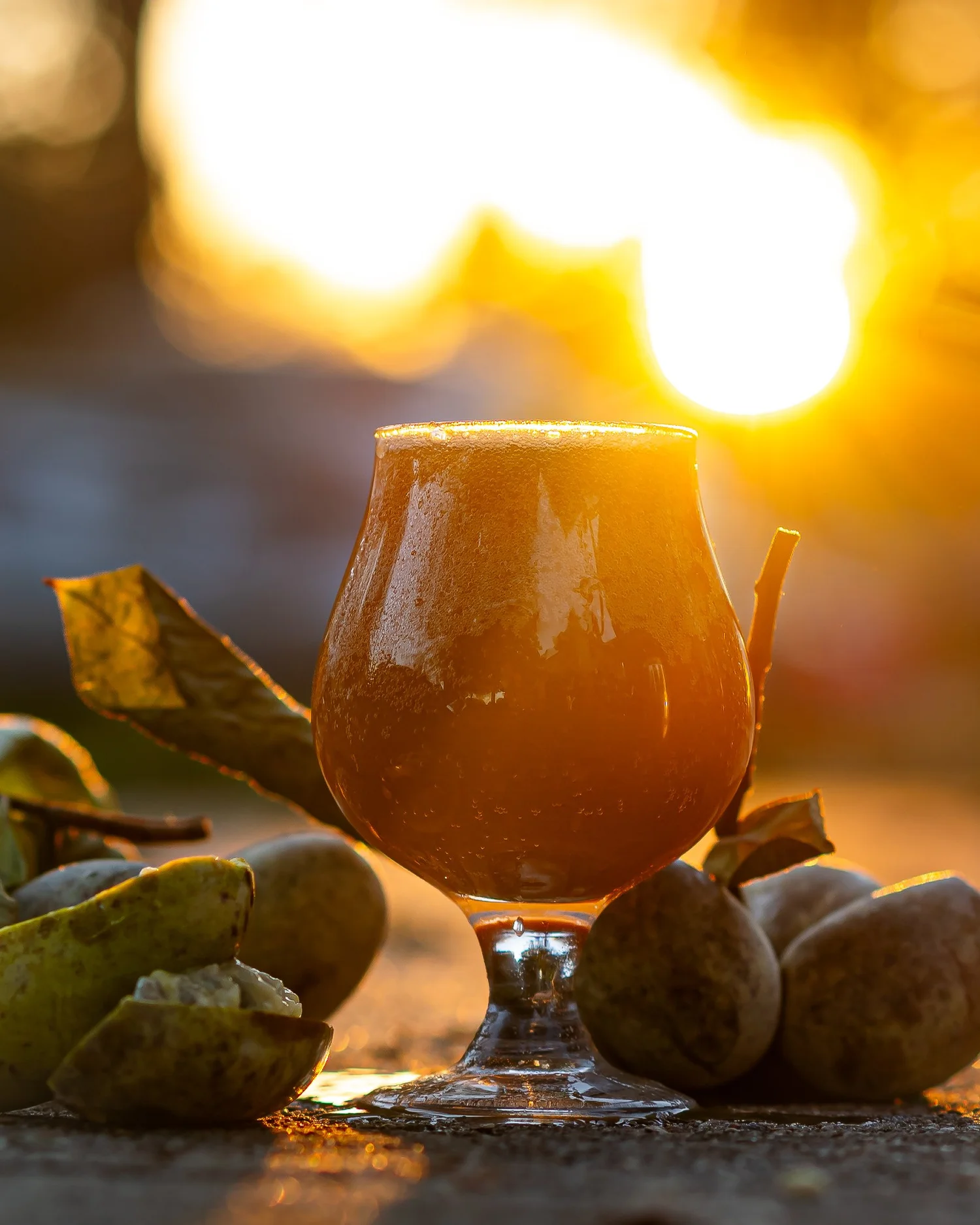 Lebanon Brewery — Snitz Creek Brewery