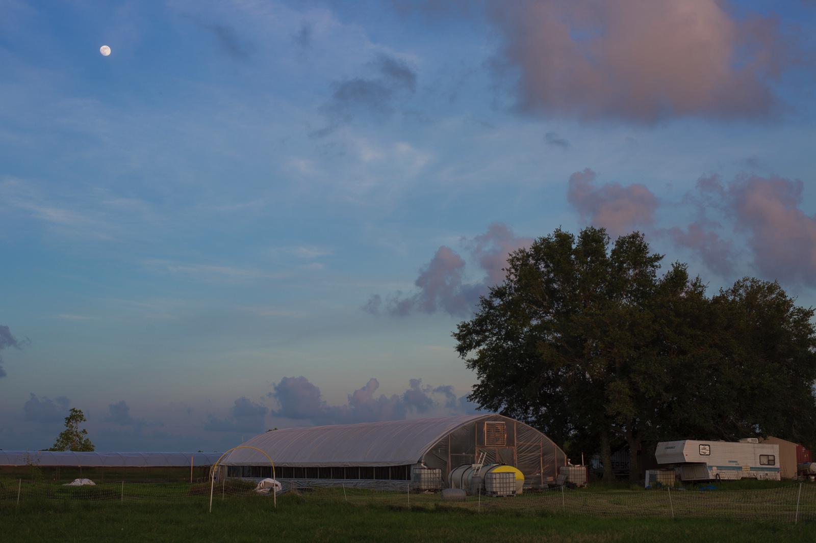 Our Farm Gallery — Donna's Farm