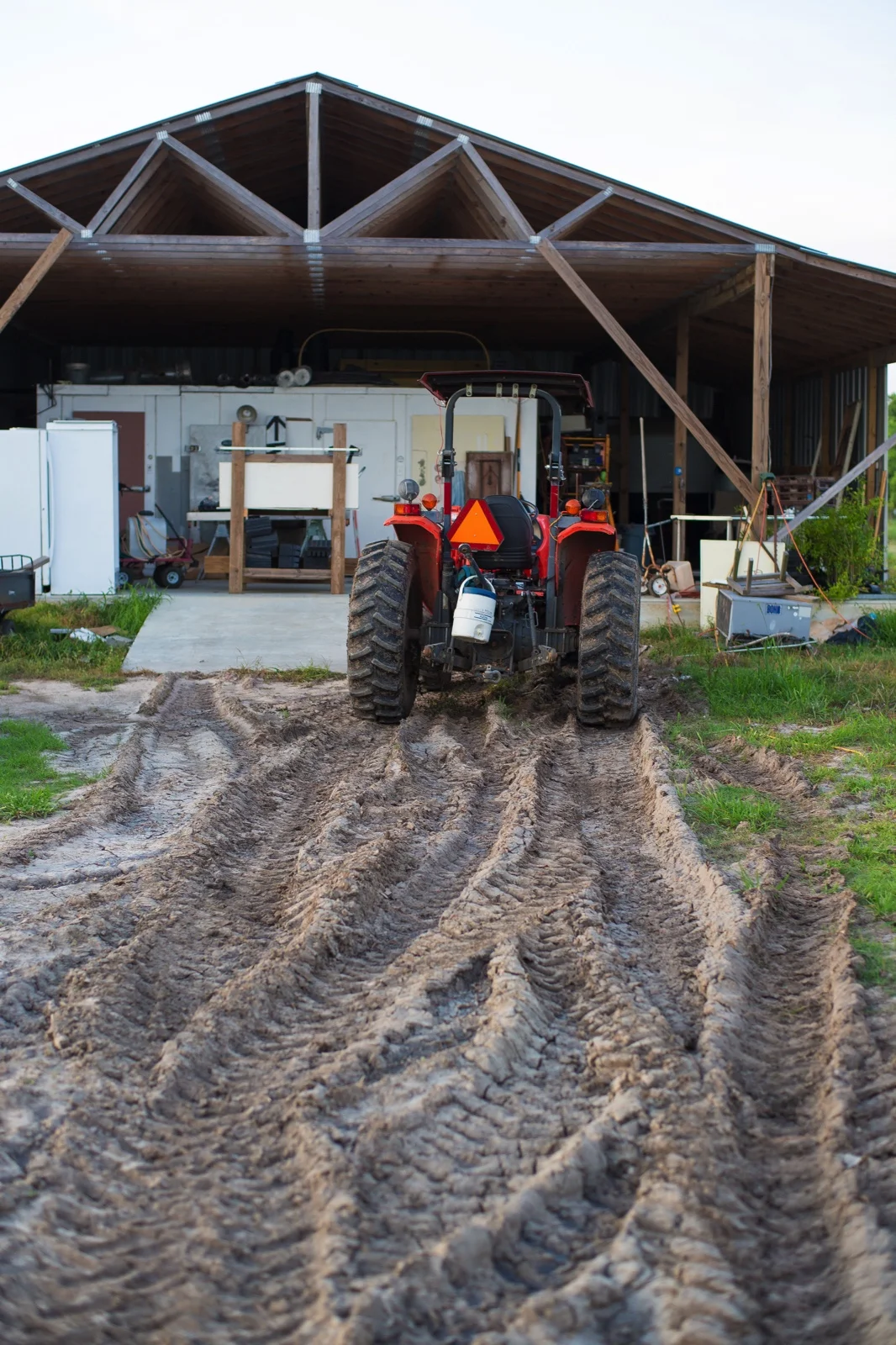 Our Farm Gallery — Donna's Farm