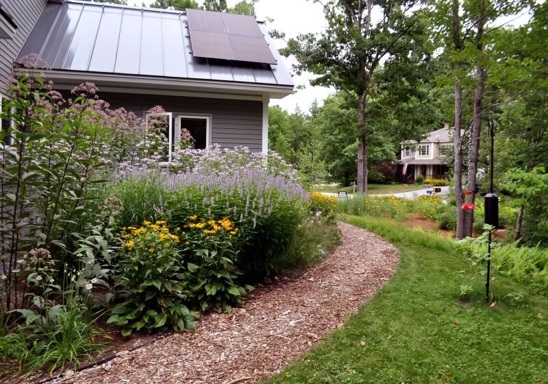 Habitat Design & Consultation — First Light Wildlife Habitats