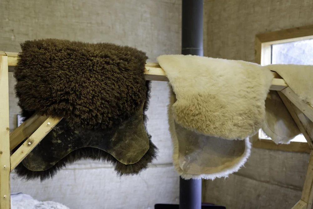 Sheepskin Tanning with Crow's Nest Wildcraft — Andrea Rangel