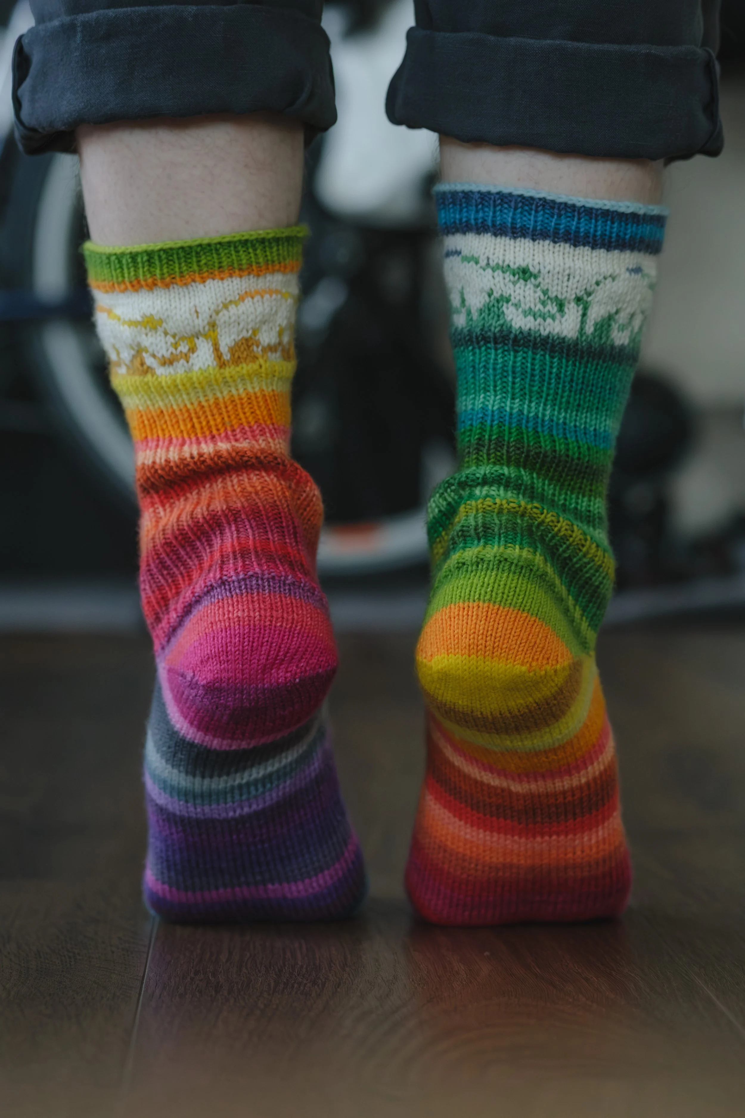 Rainbow Hippo Socks! 🌈🧦🦛 — Andrea Rangel