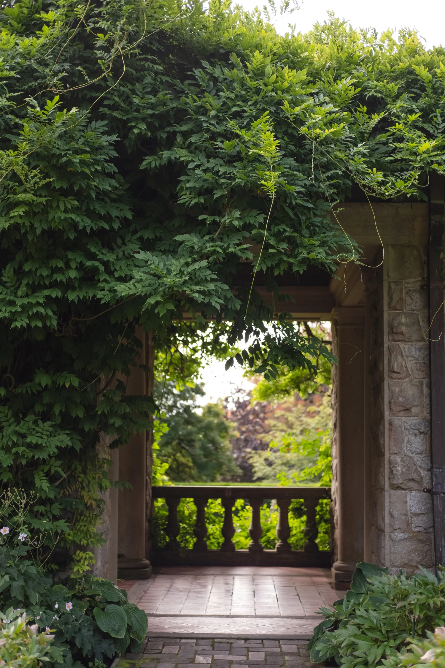 A Garden Stroll — Andrea Rangel