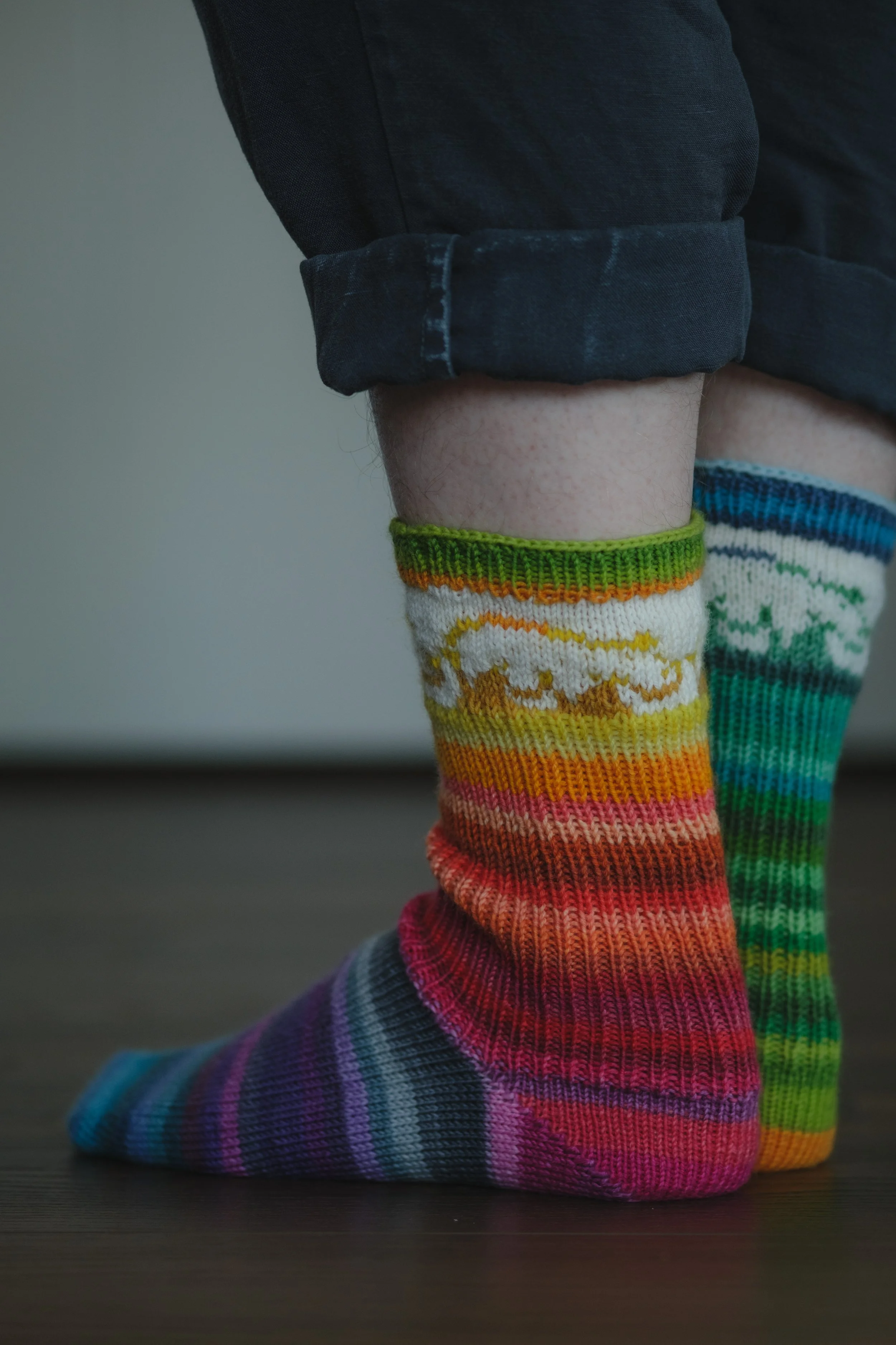 Rainbow Hippo Socks! 🌈🧦🦛 — Andrea Rangel