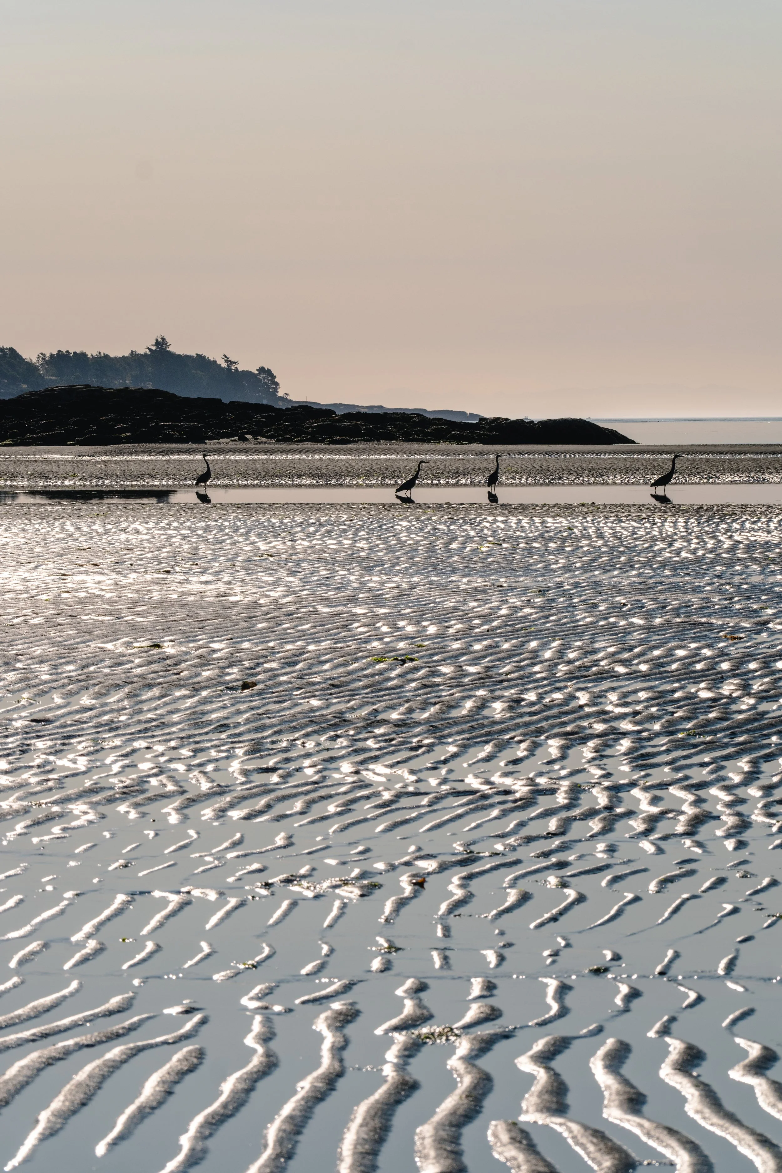 Low tide at the lagoon — Andrea Rangel
