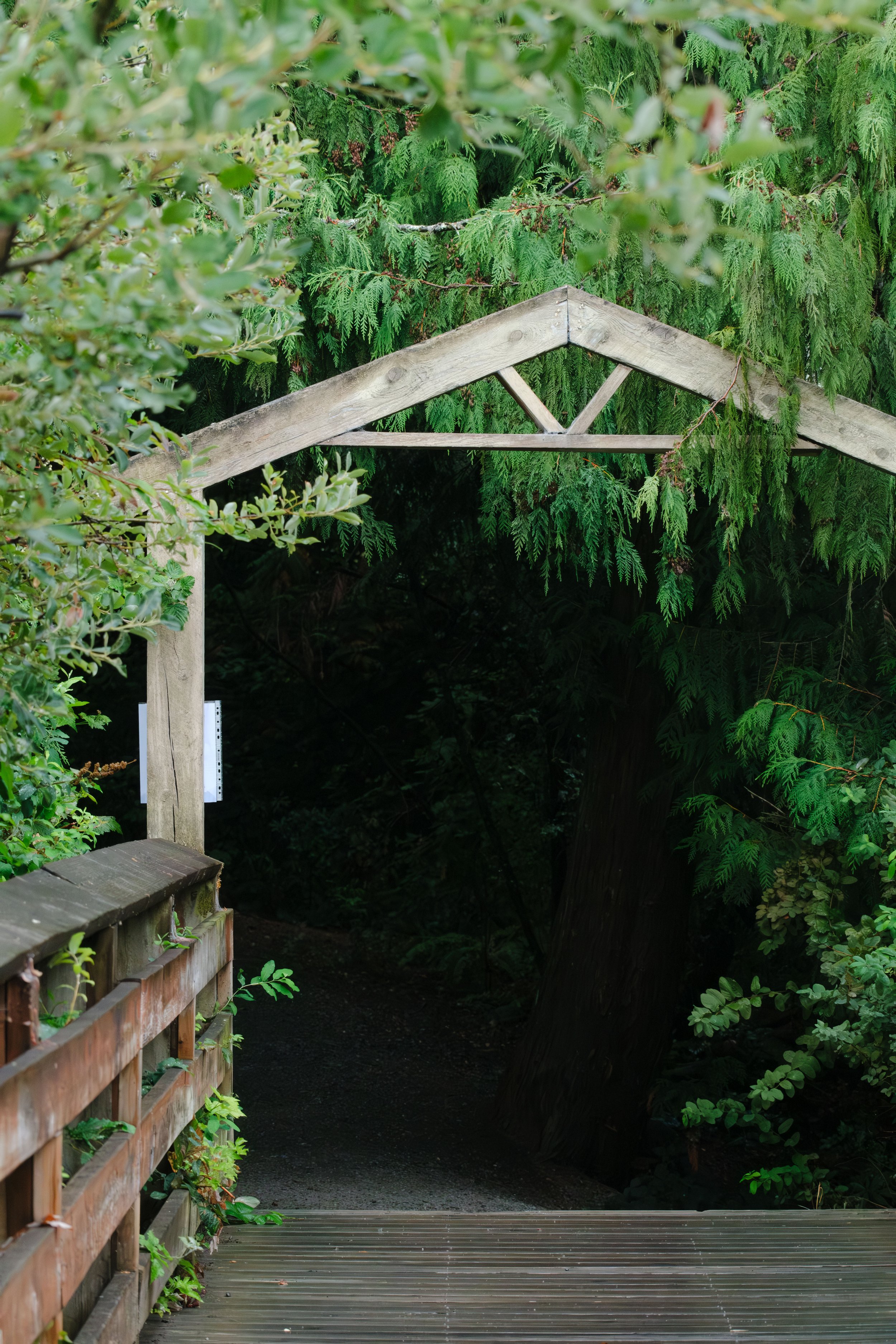 That Fall Feeling — Andrea Rangel