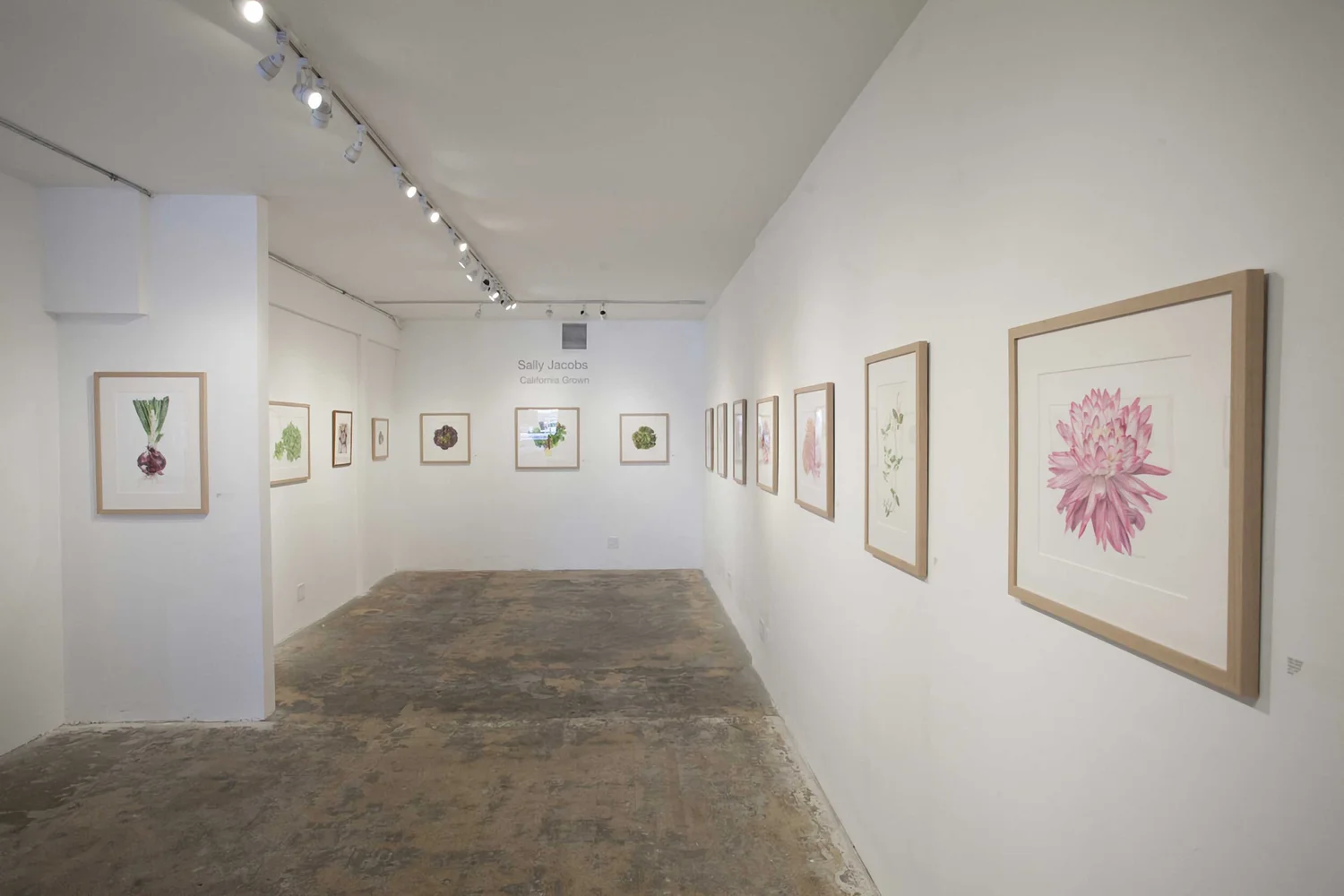 Member Artist Spotlight: Katie Crown, Sally Jacobs, Shelley Lazarus ...