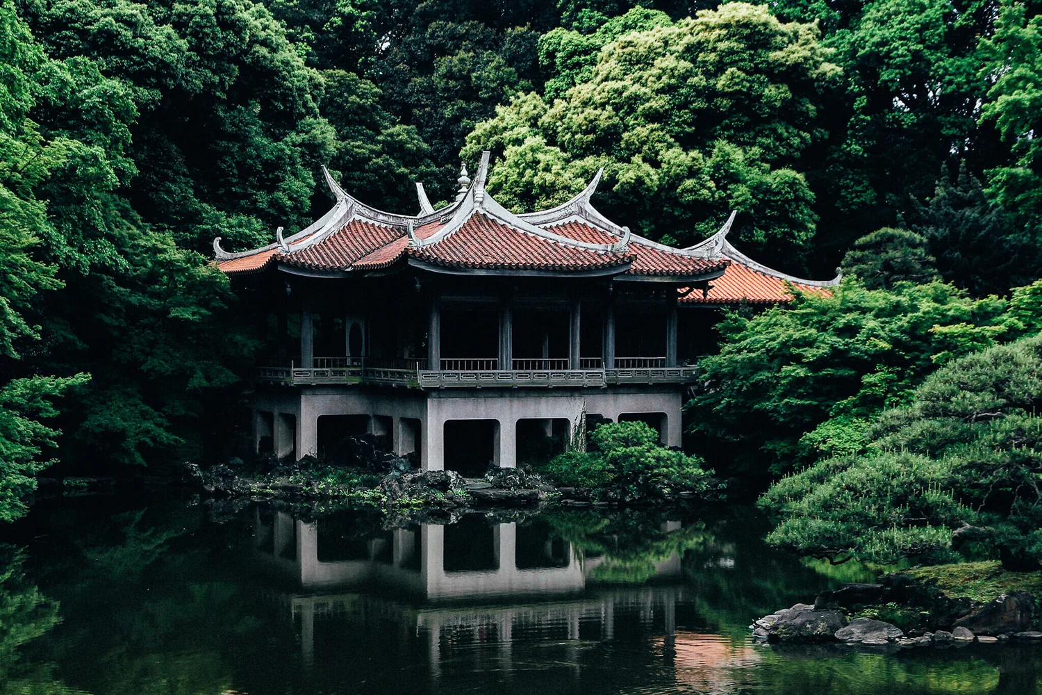 Best Things To Do In Shibuya — This Life Of Travel