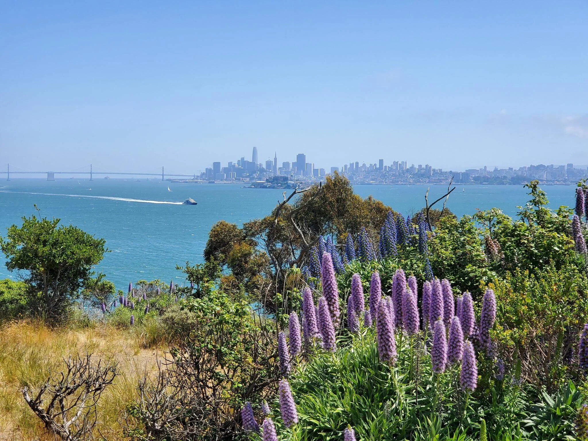 Best California Islands To Explore And Visit — This Life Of Travel