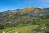 10 Best Places To See California Spring Blooms and Wildflowers — This ...