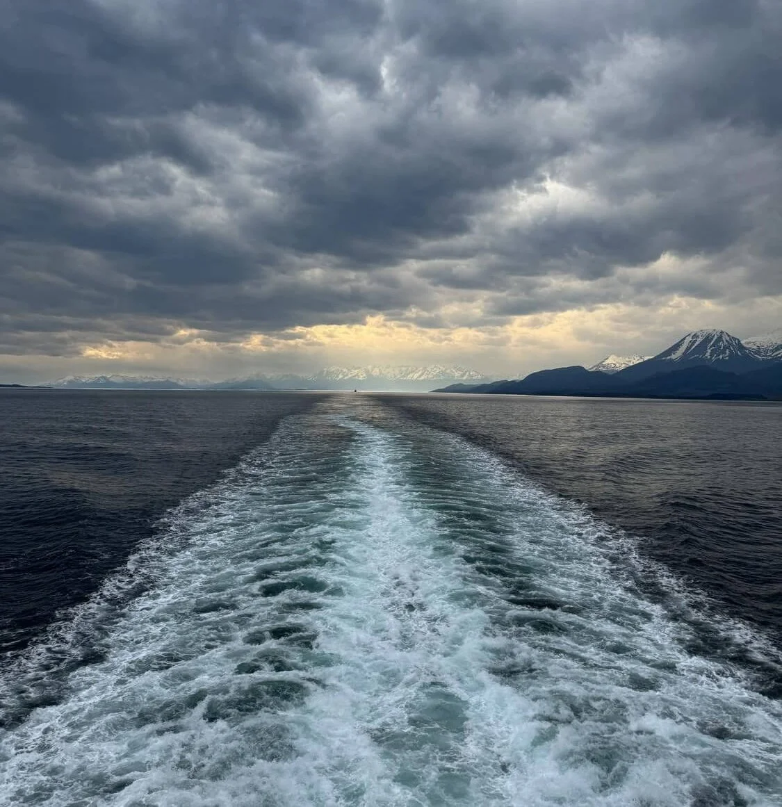 Antarctica Adventure with Viking Cruises — This Life Of Travel