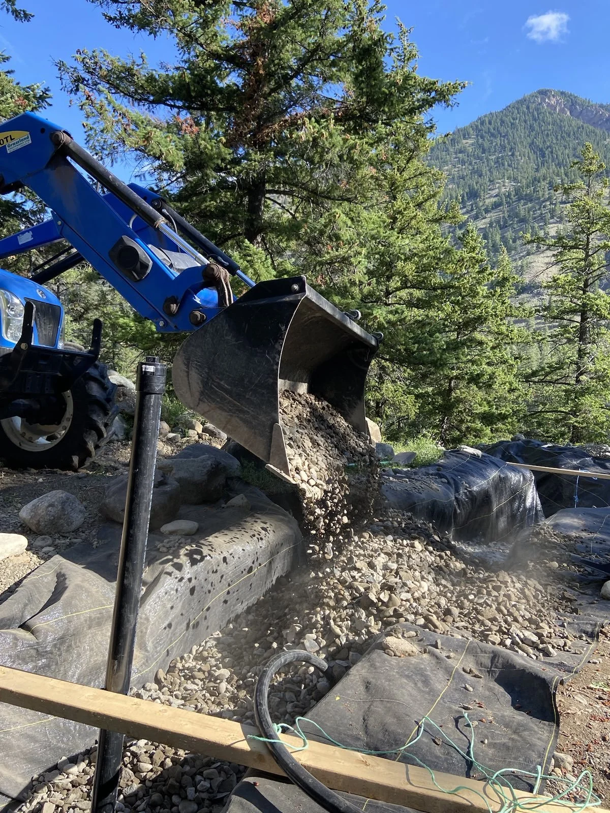 timber + trowel