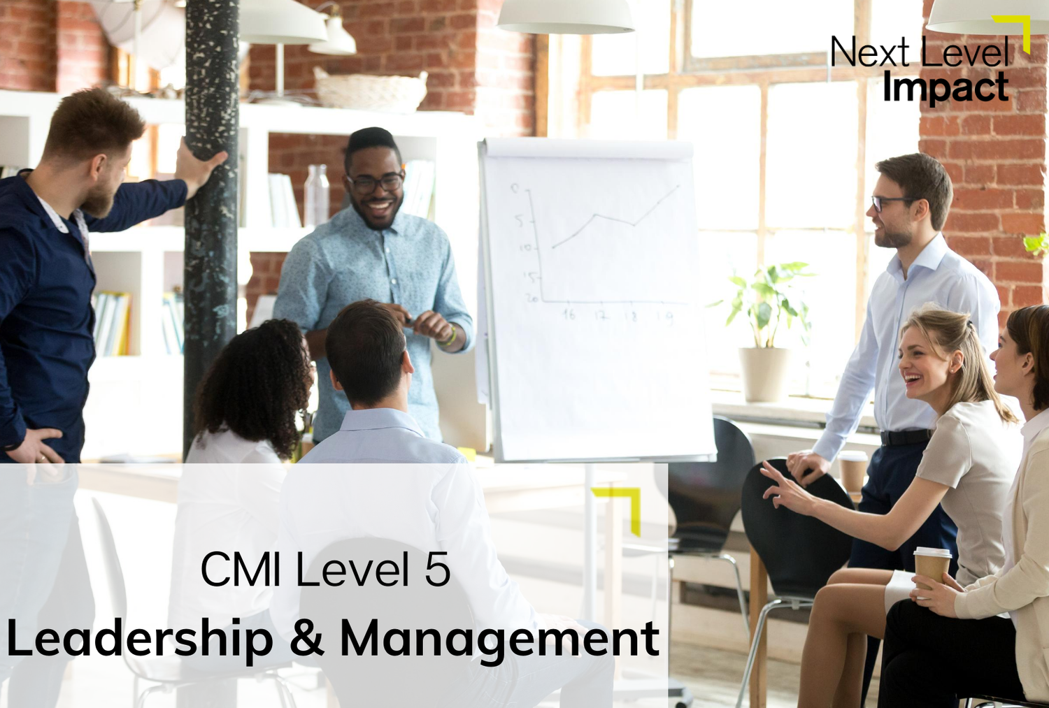 Executive Programmes — Next Level Impact