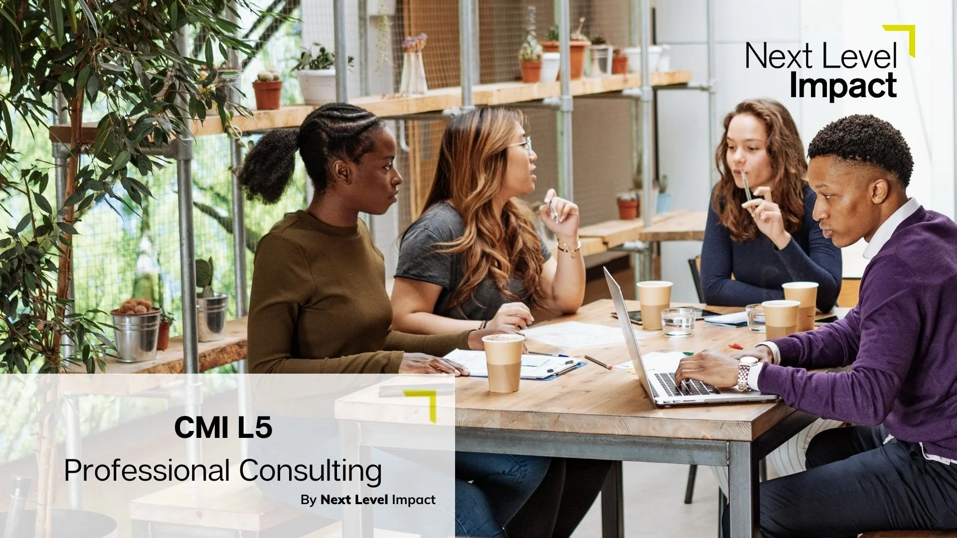 Cmi Level 5 Professional Consulting — Next Level Impact