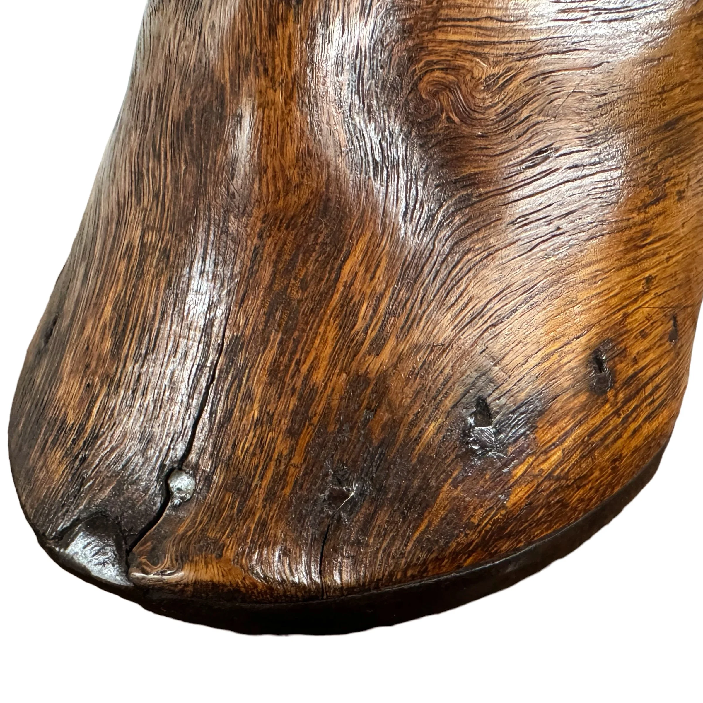 19th Century American Burl Wood Horse Hoof Vessel — RIGHT | PROPER