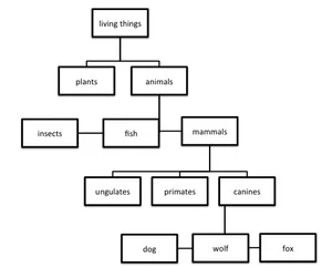 How to Name: Explore Concepts, not Words (Updated 2024!) — Operative Words